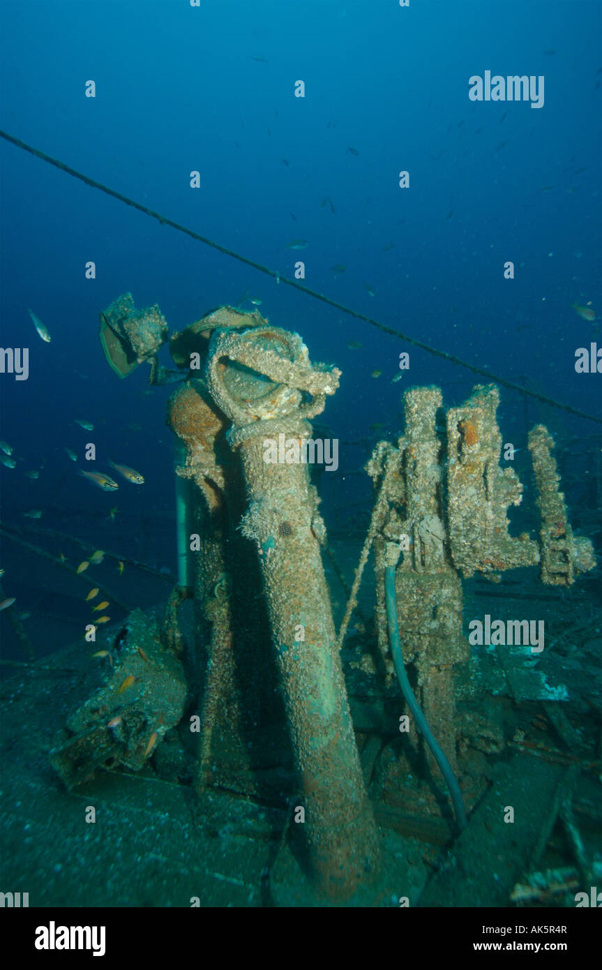 Stella polaris hi-res stock photography and images - Alamy