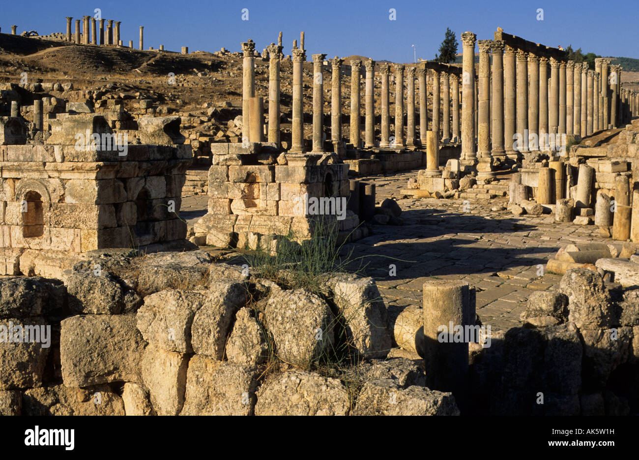 Ruins with Columns Jerash Jordan Stock Photo - Alamy