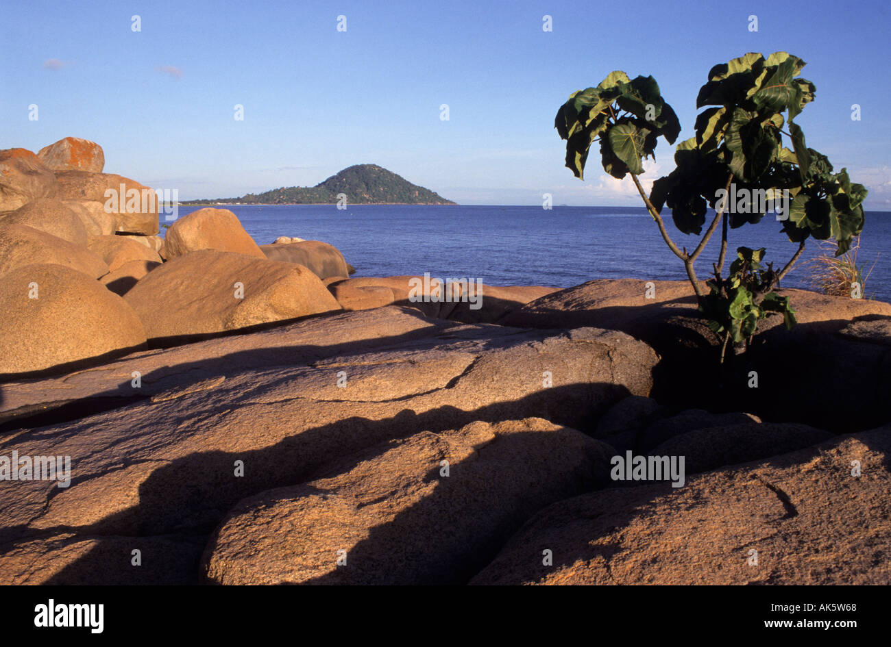 Mountain vegetation in malawi hi-res stock photography and images - Alamy
