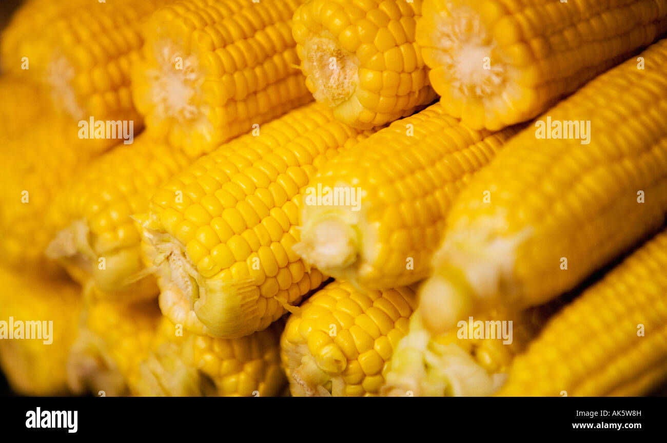Husked corn on the cob Stock Photo - Alamy