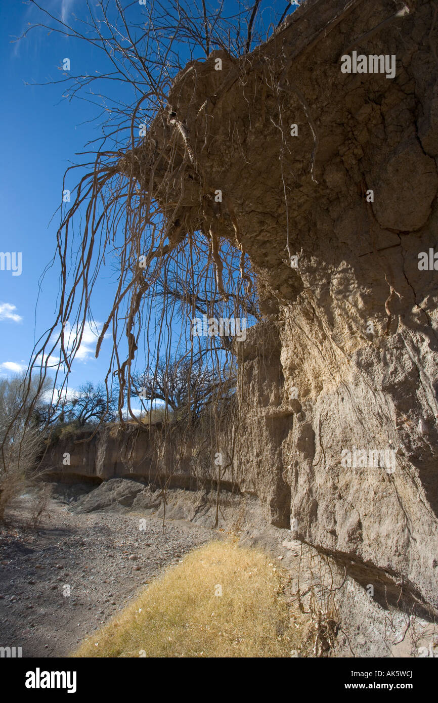 Undercut river hi-res stock photography and images - Alamy
