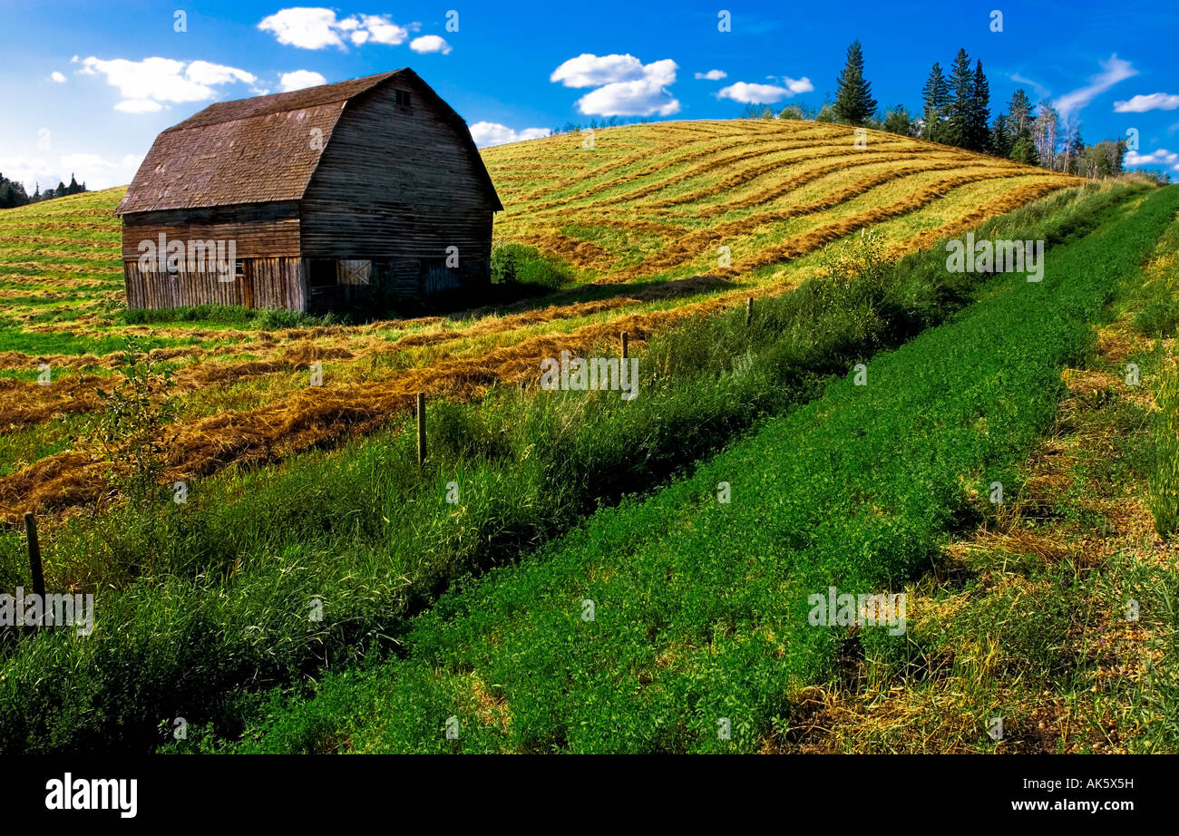 Rurallandscapes hi-res stock photography and images - Alamy