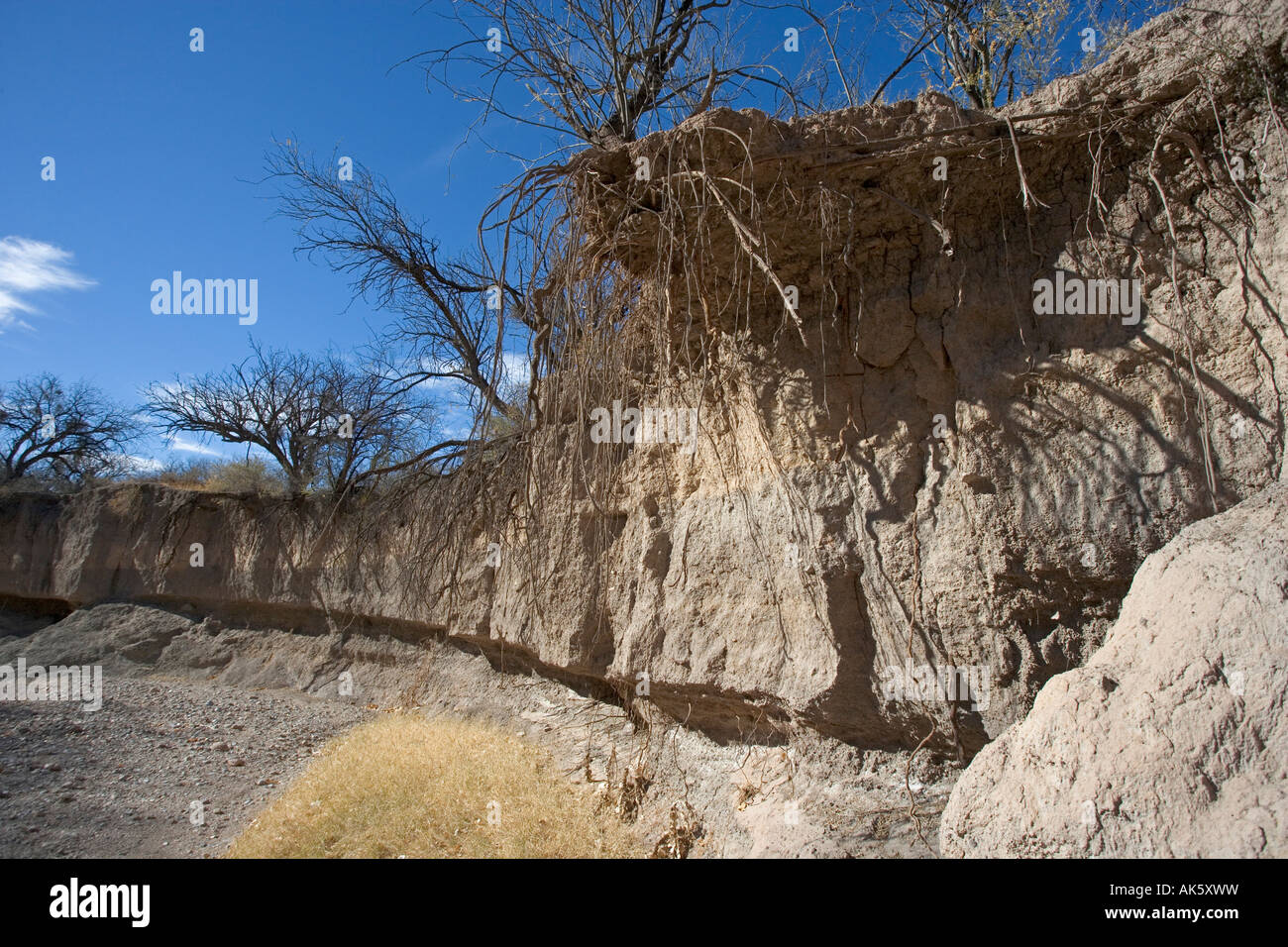 Erosion in a desert wash Stock Photo - Alamy