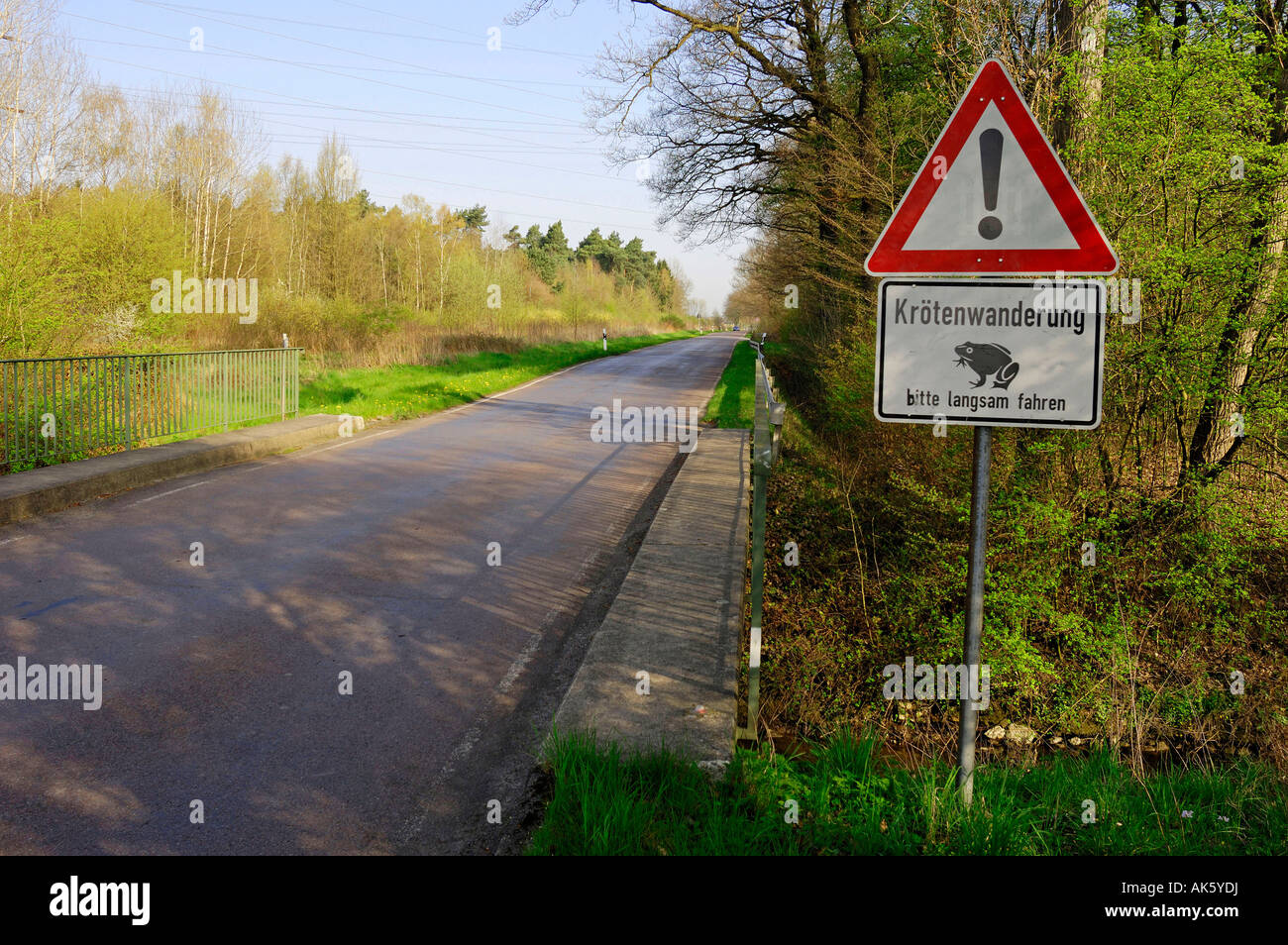 Street sign 'Toad migration' Stock Photo - Alamy