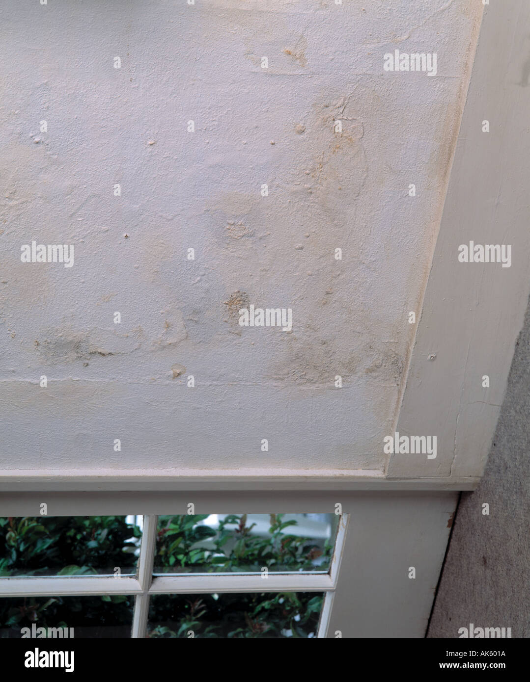 Soiled walls hi-res stock photography and images - Alamy