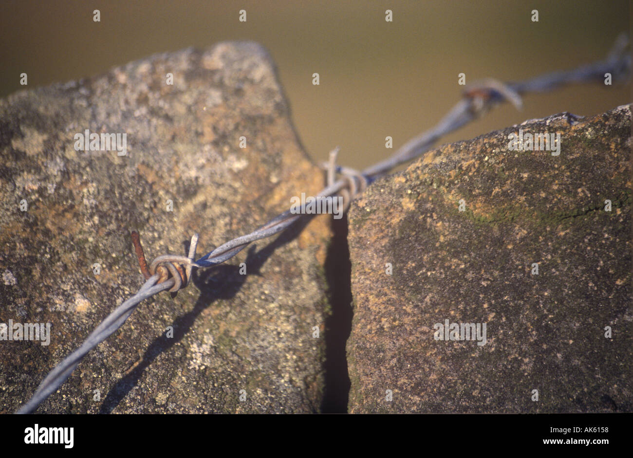 Barbed wire on a dry stone wall Stock Photo - Alamy