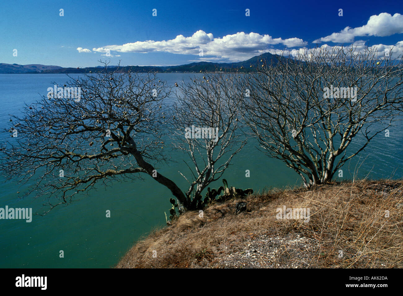 California, Indian shell midden Stock Photo - Alamy