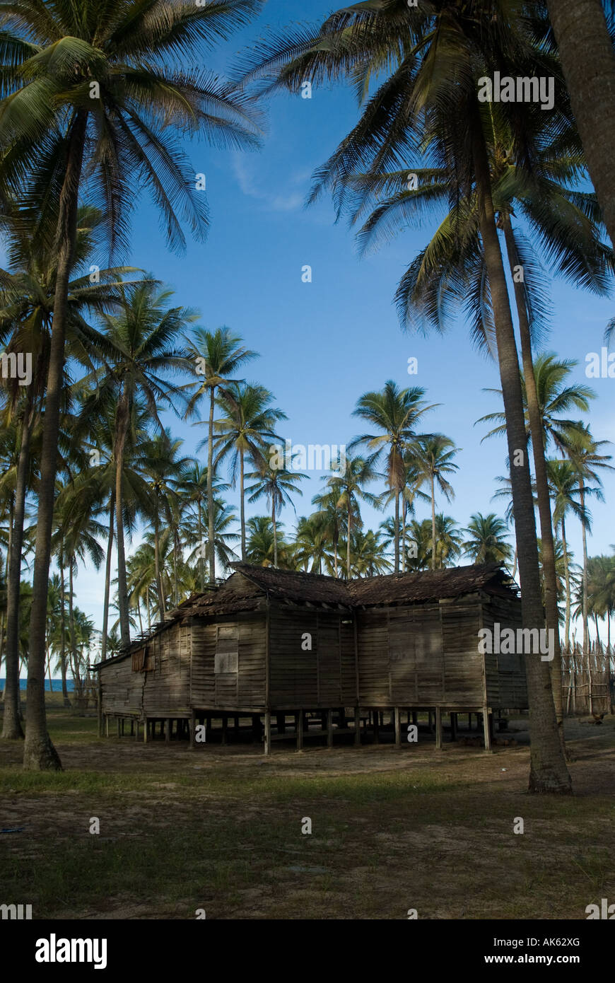 Beautiful island hundreds palm trees hi-res stock photography and ...