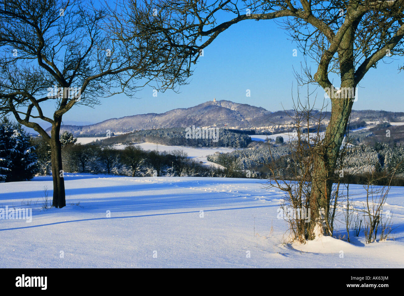 Schaumberg hi-res stock photography and images - Alamy
