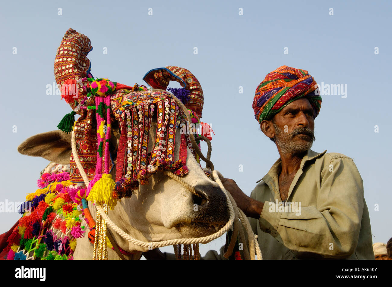 Pilgrim pushkar cattle fair rajasthan india people hi-res stock ...