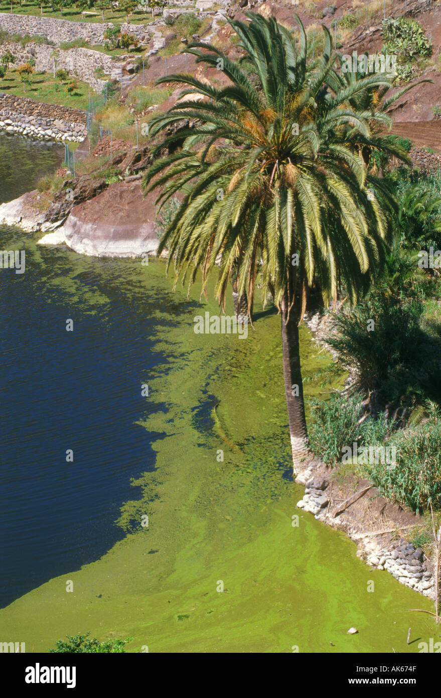 Split solitary island hi-res stock photography and images - Alamy
