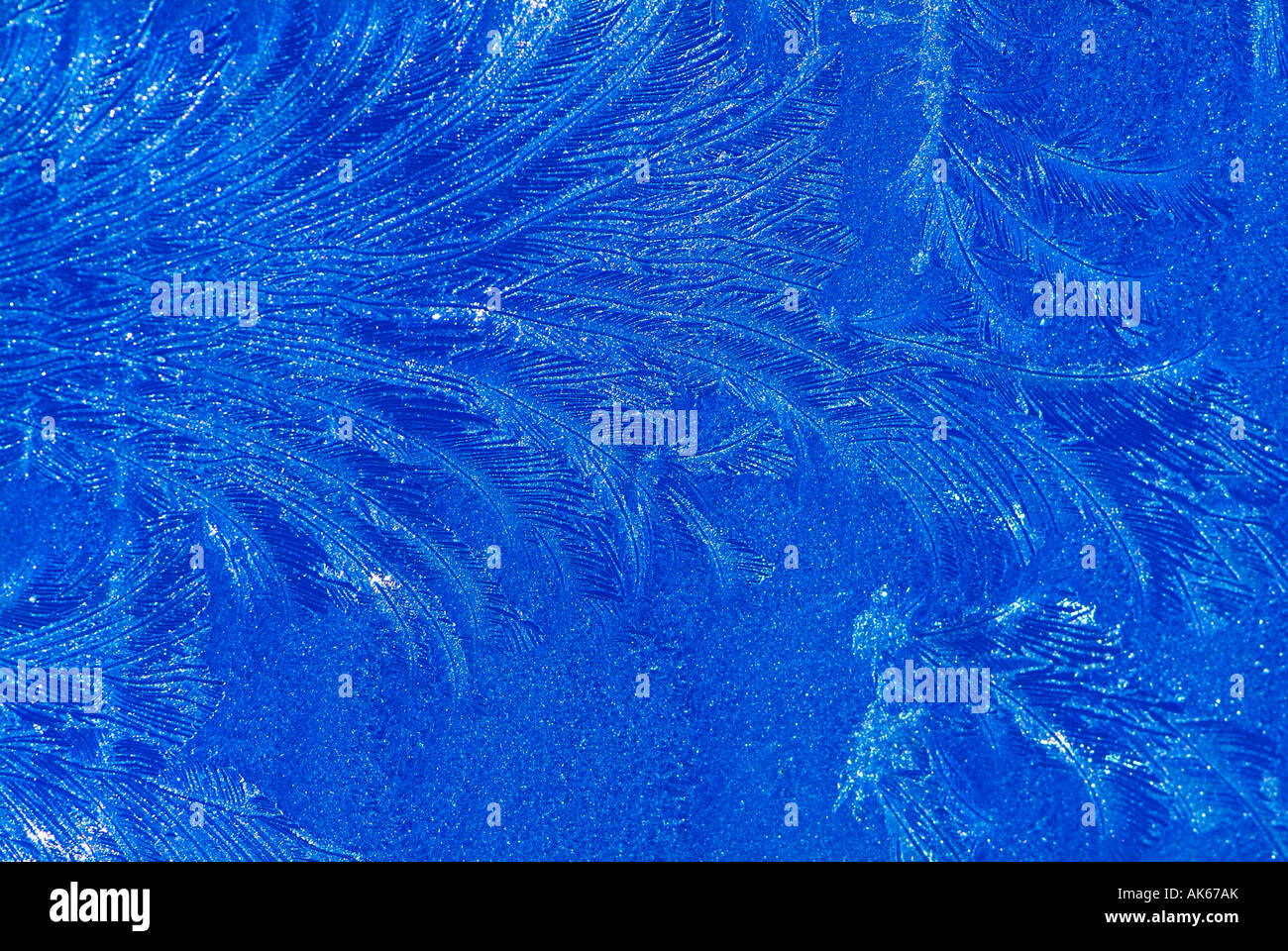 Frostwork hi-res stock photography and images - Alamy