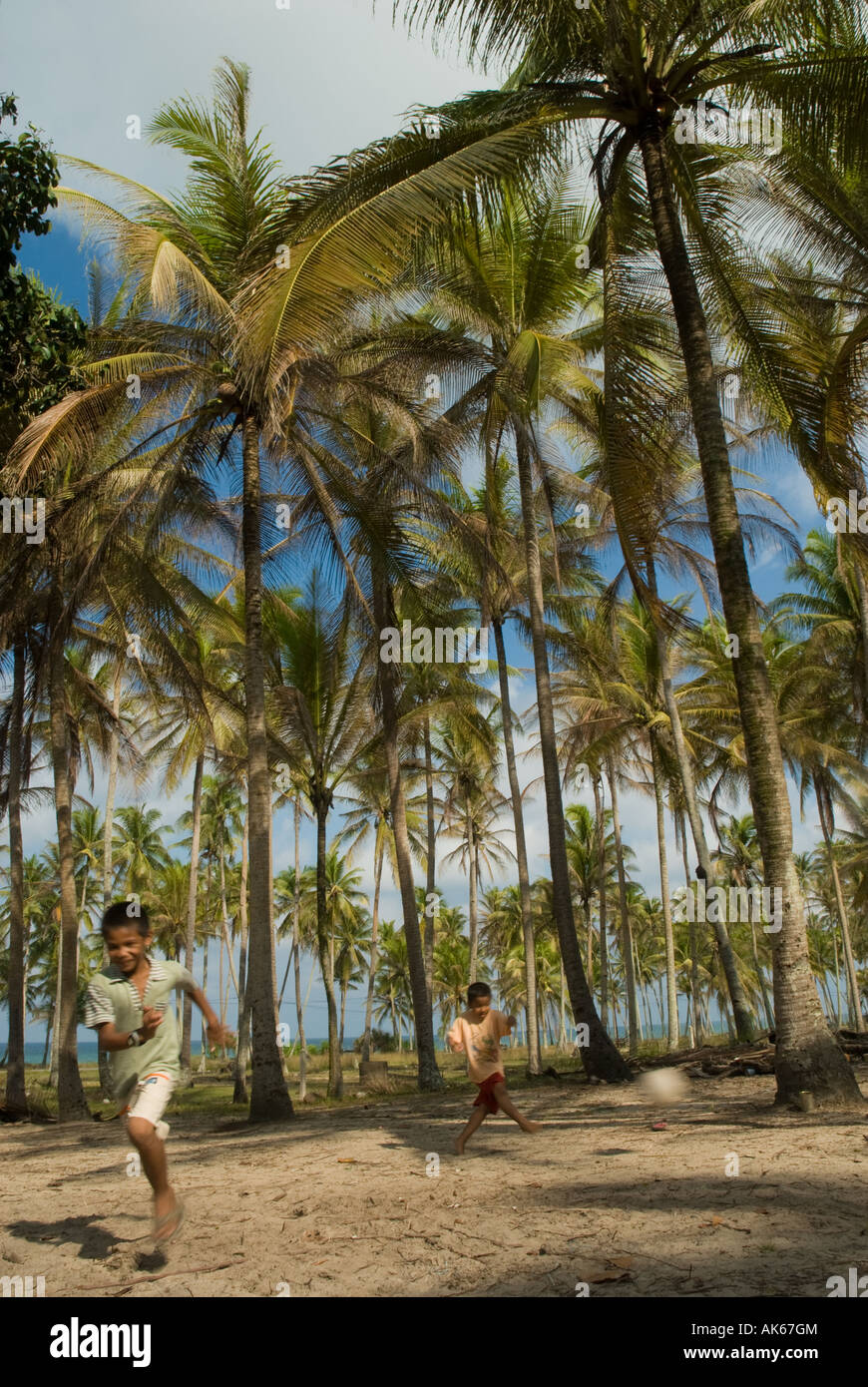 Local kids playing soccer or football under hundreds of coconut trees ...