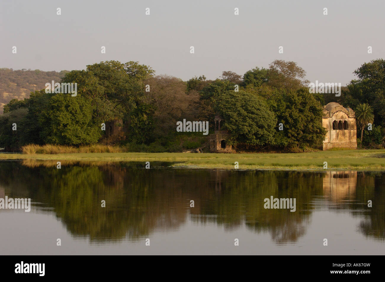 Lake in Ranthambhore National Park. Rajasthan. INDIA Stock Photo - Alamy