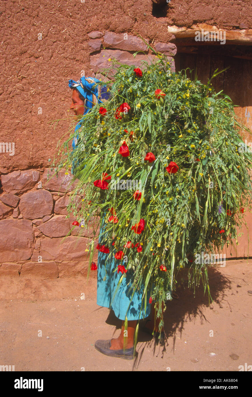 Moroccan Slave High Resolution Stock Photography and Images - Alamy