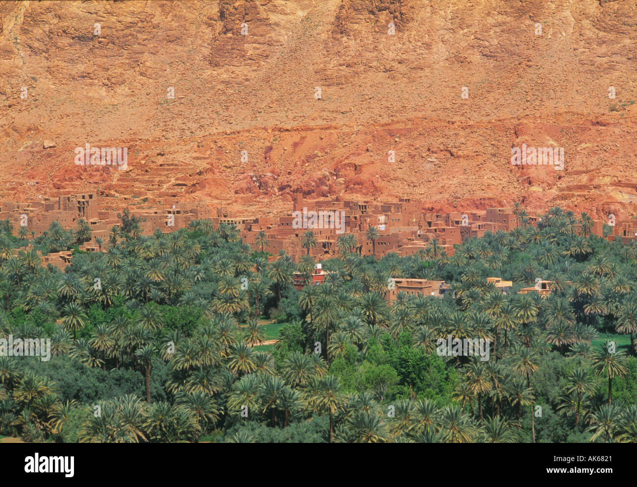 Todra gorge and farm hi-res stock photography and images - Alamy
