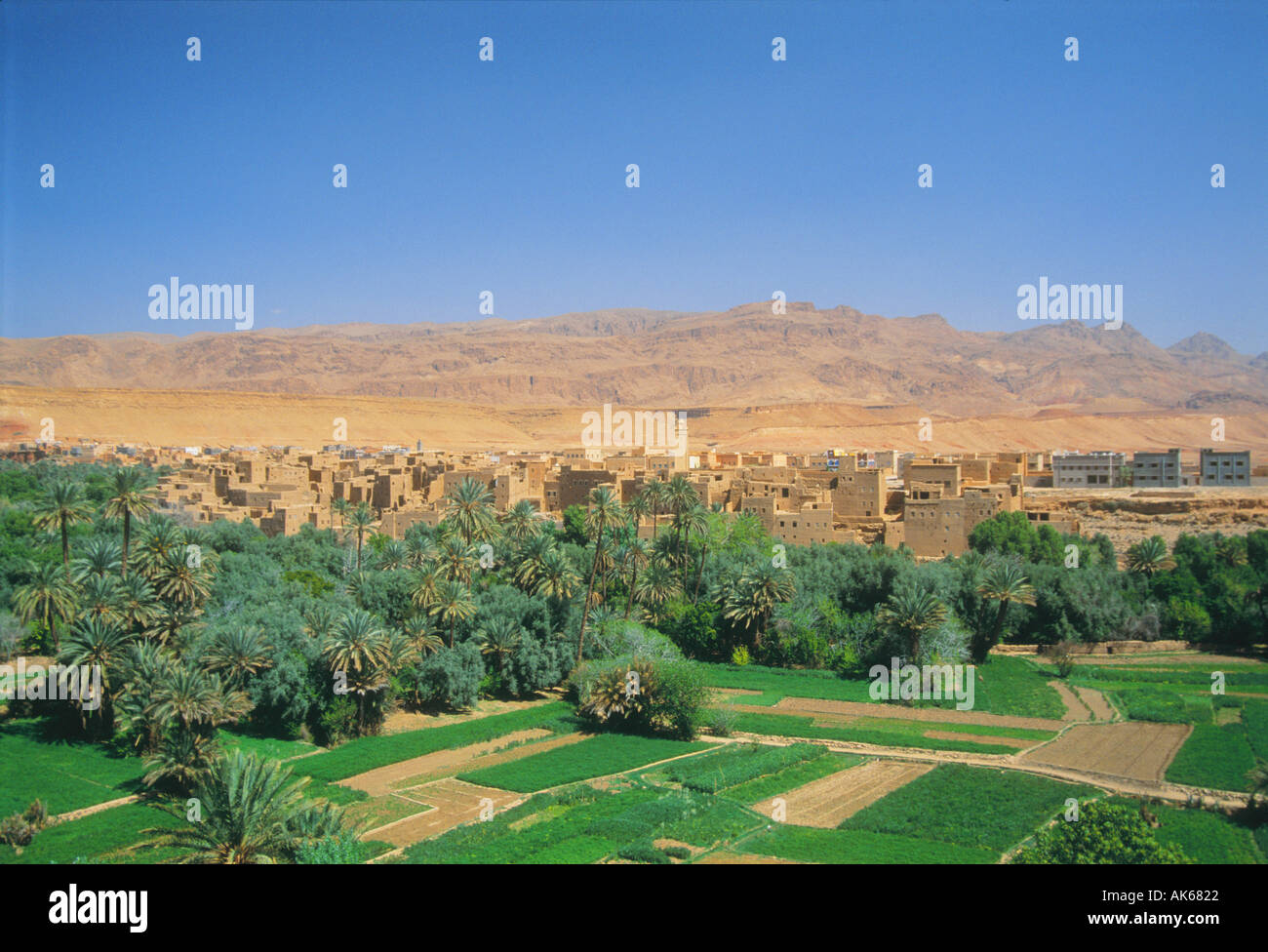 Todra gorge and farm hi-res stock photography and images - Alamy