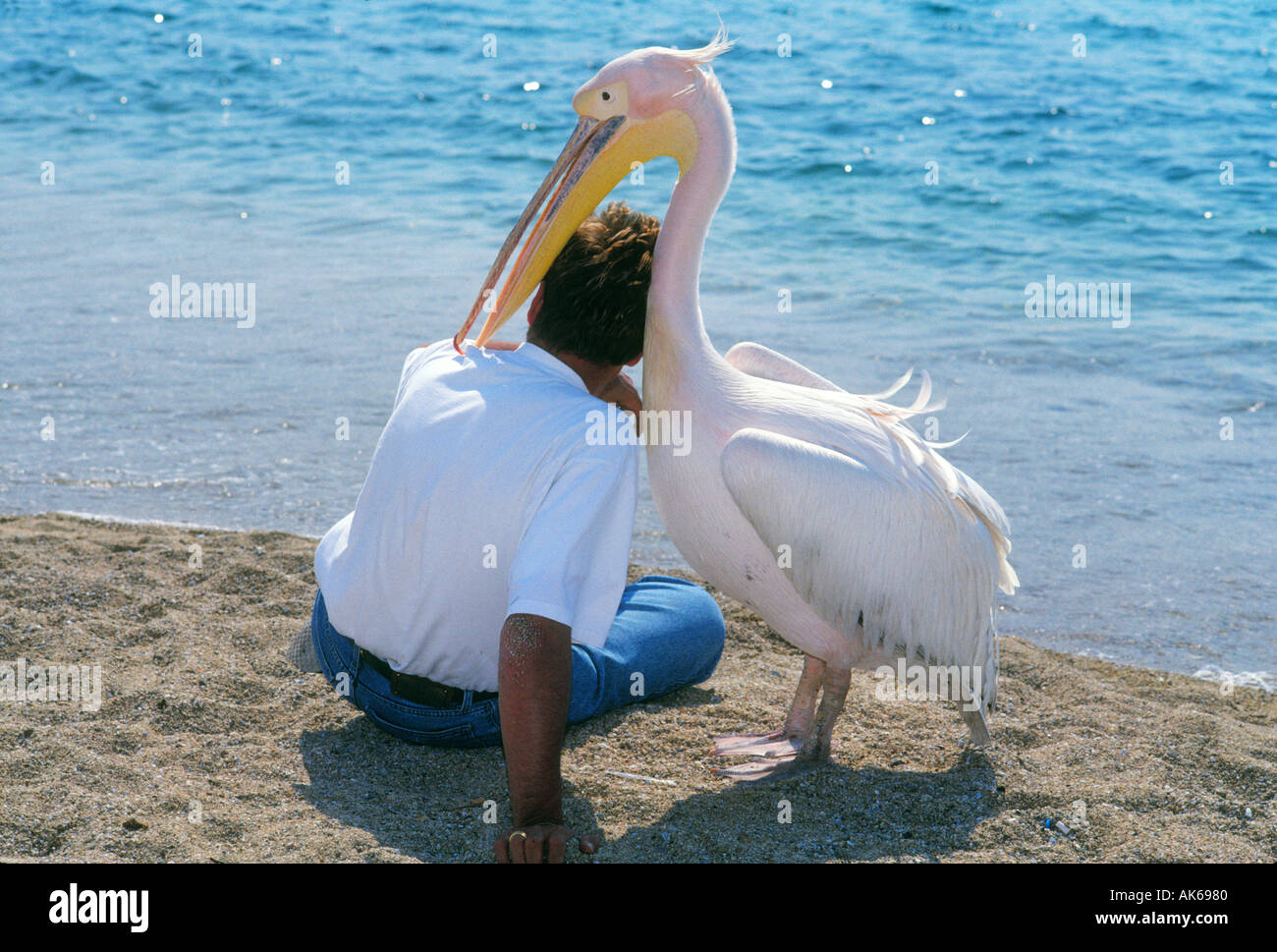Company ident hi-res stock photography and images - Alamy