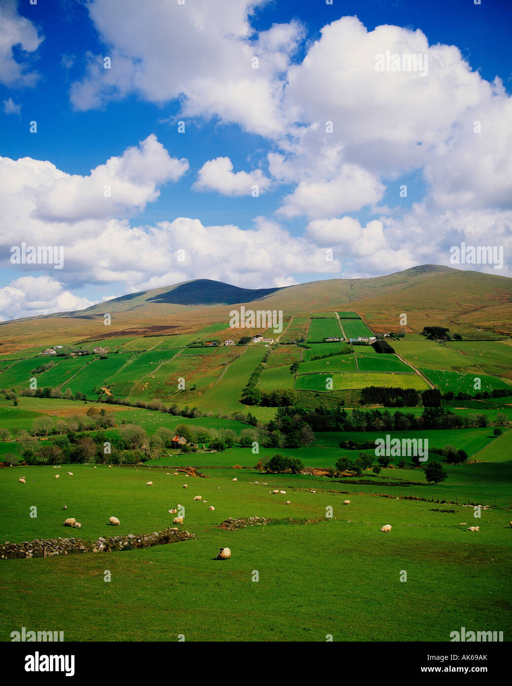 Sperrin Mountains, County Tyrone, Ireland Stock Photo - Alamy