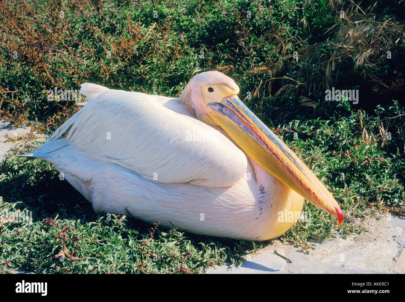 Company ident hi-res stock photography and images - Alamy