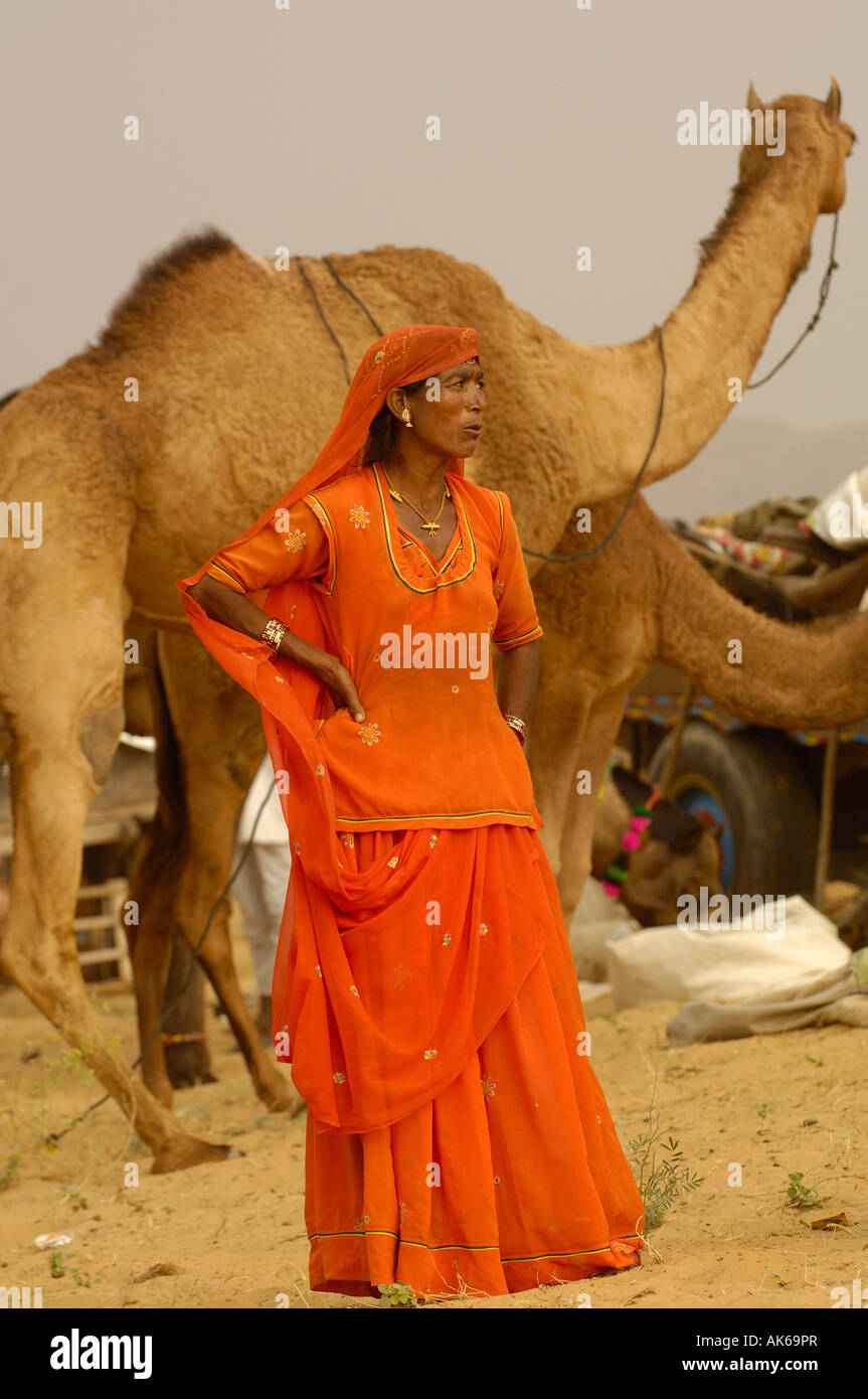Pushkar camel and livestock fair which takes place in the Hindu month ...