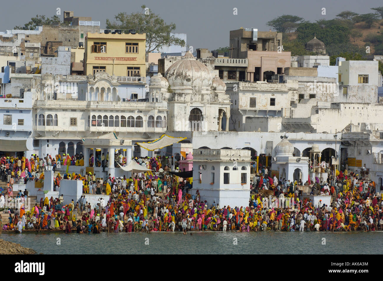 Pushkar camel fair person lake hi-res stock photography and images - Alamy