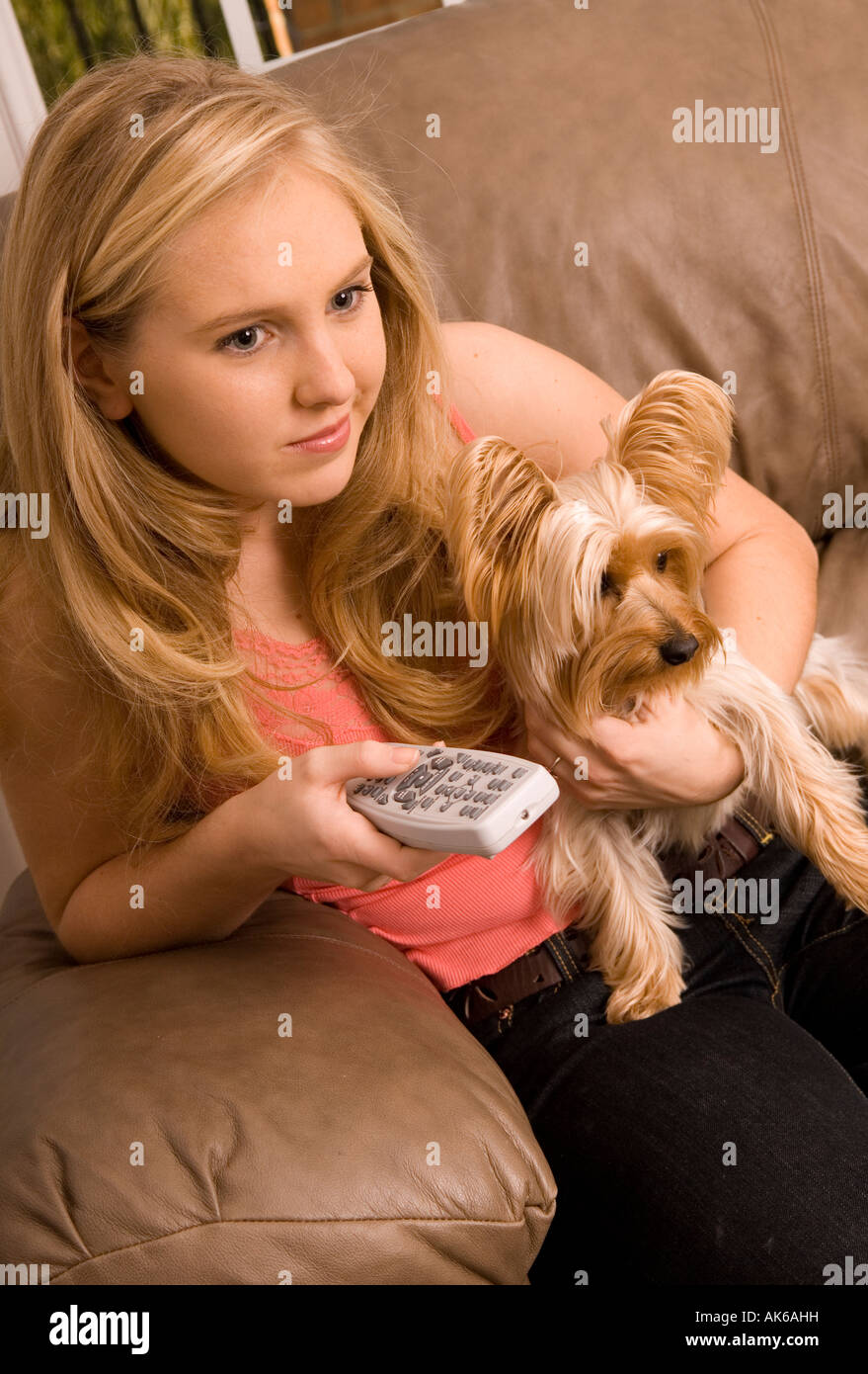 Teen yorkshire terrier hi-res stock photography and images - Alamy