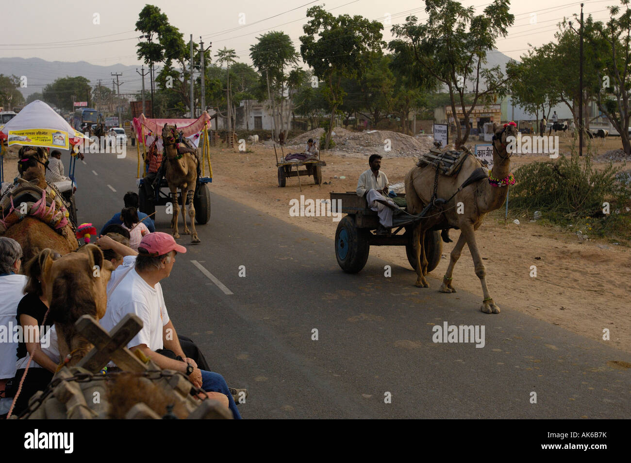 Animal carts india hi-res stock photography and images - Alamy