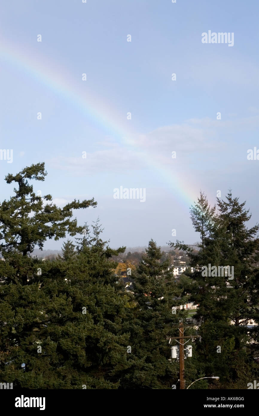 Green tree rainbow in sky hi-res stock photography and images - Alamy