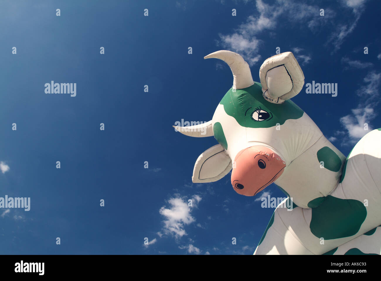 A cow bounce house at an amusement park Stock Photo - Alamy