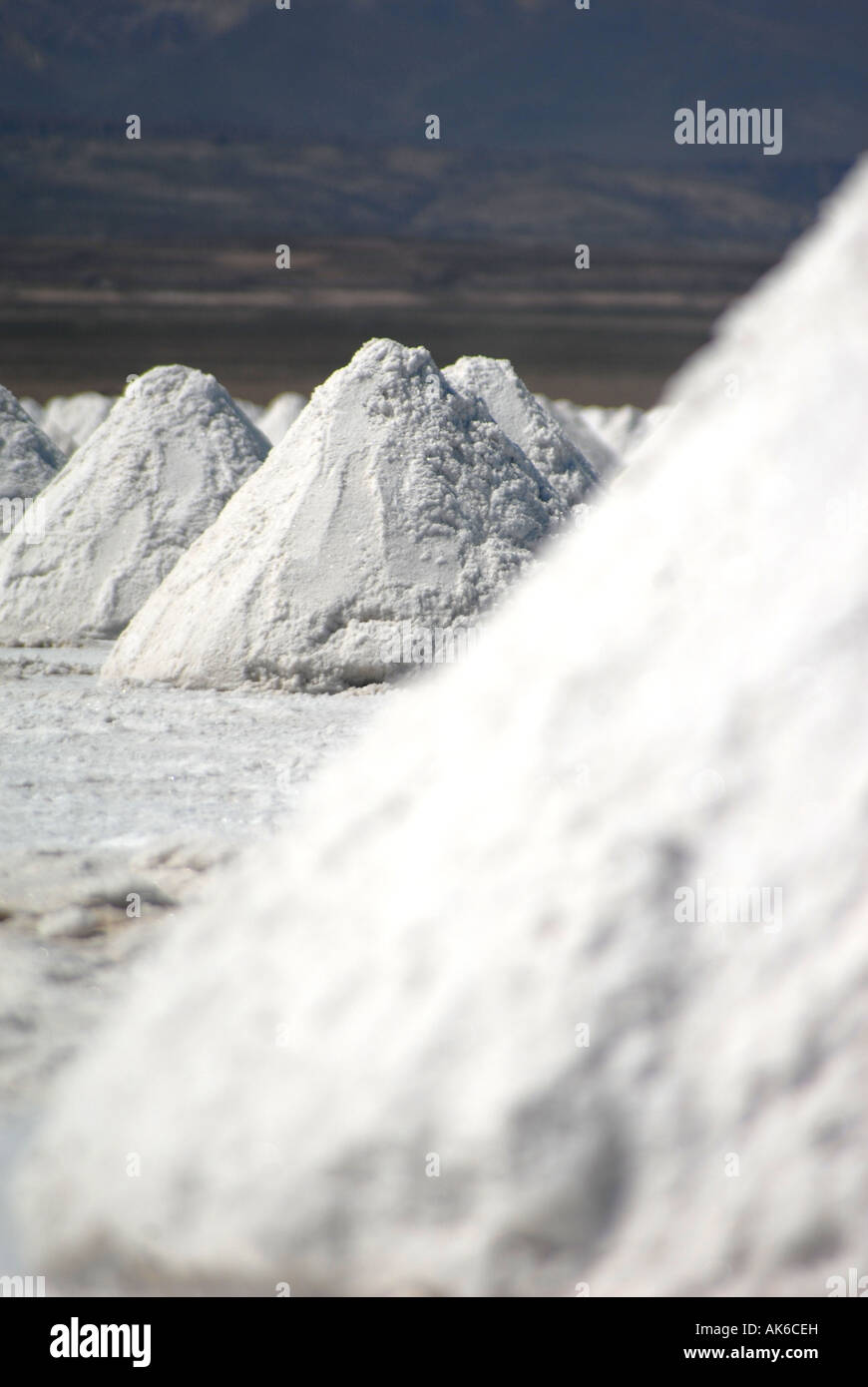 Salt mounds are piled up by locals to dry on the Salar de Uyuni near ...