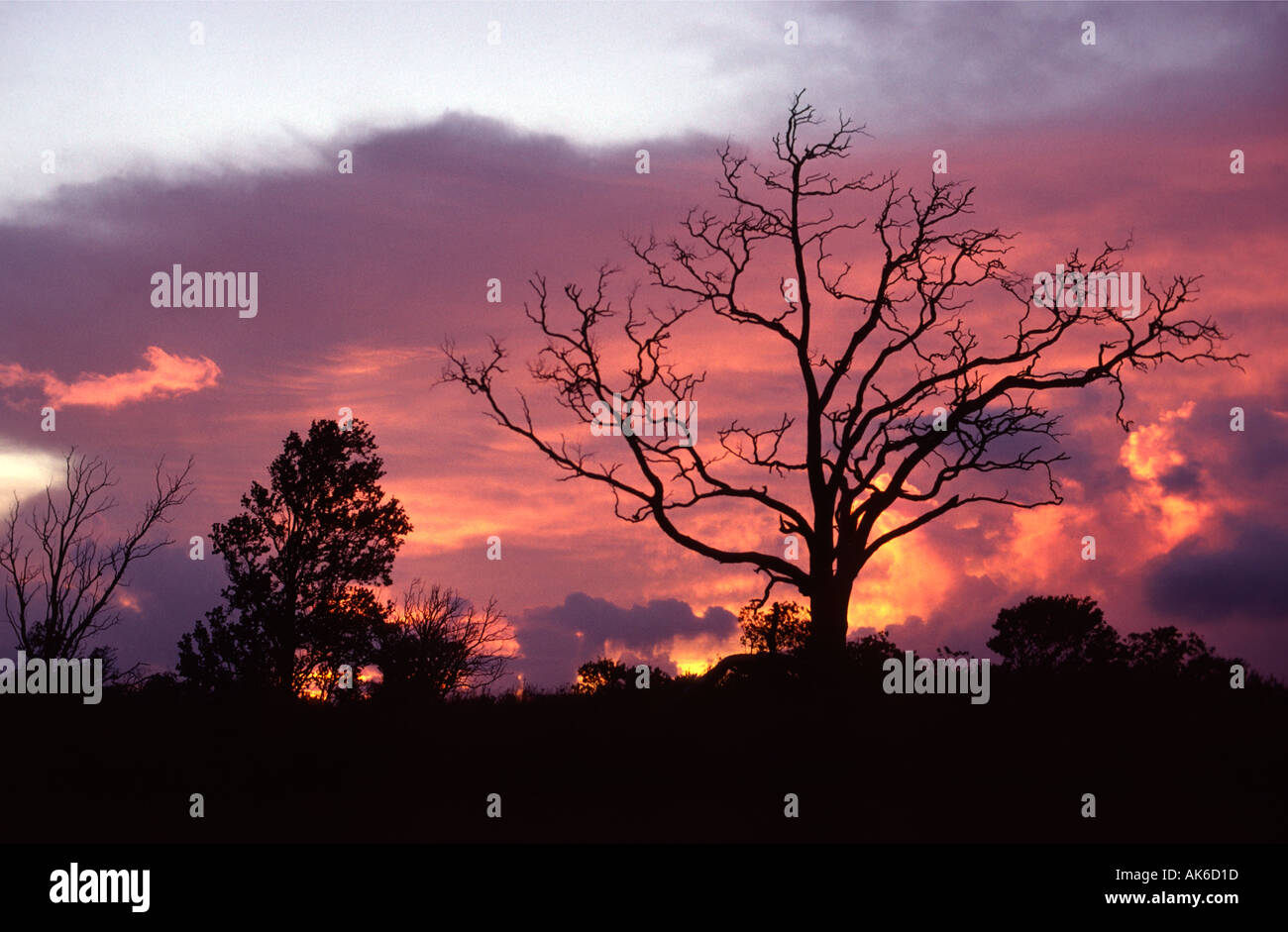 Sunset at Hawaiis Volcanoes National Park, Hawaii Stock Photo - Alamy