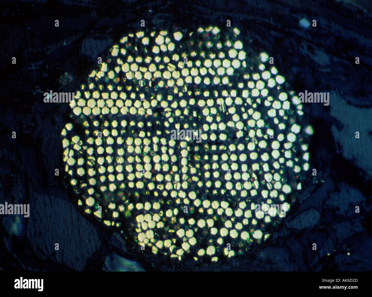 Microscopic pyrite framboid about 0. 07 mm in diameter Stock Photo - Alamy