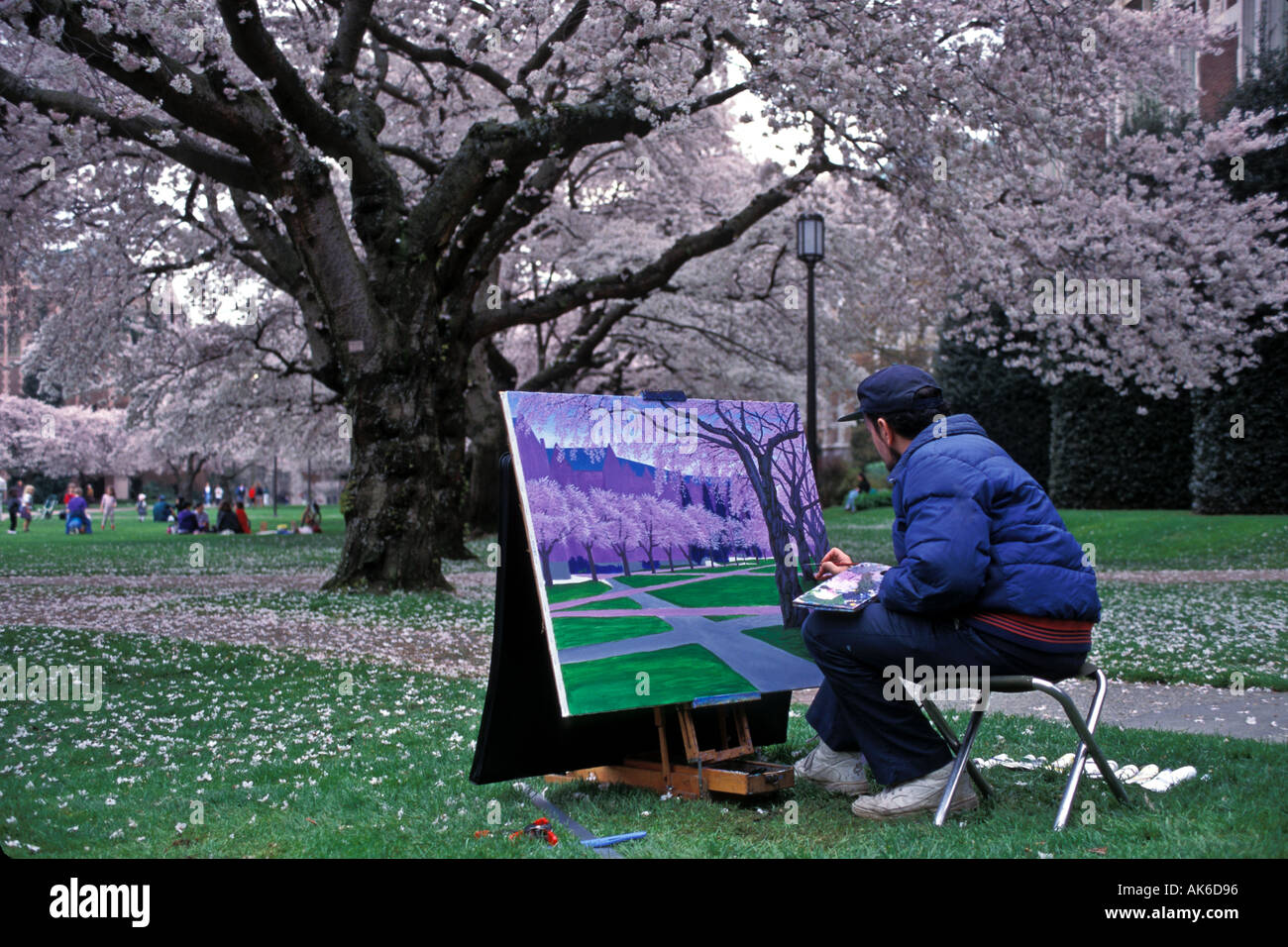 Artist Creates Spring Scenic Under Canopy Of Blossoming Cherry Trees On ...