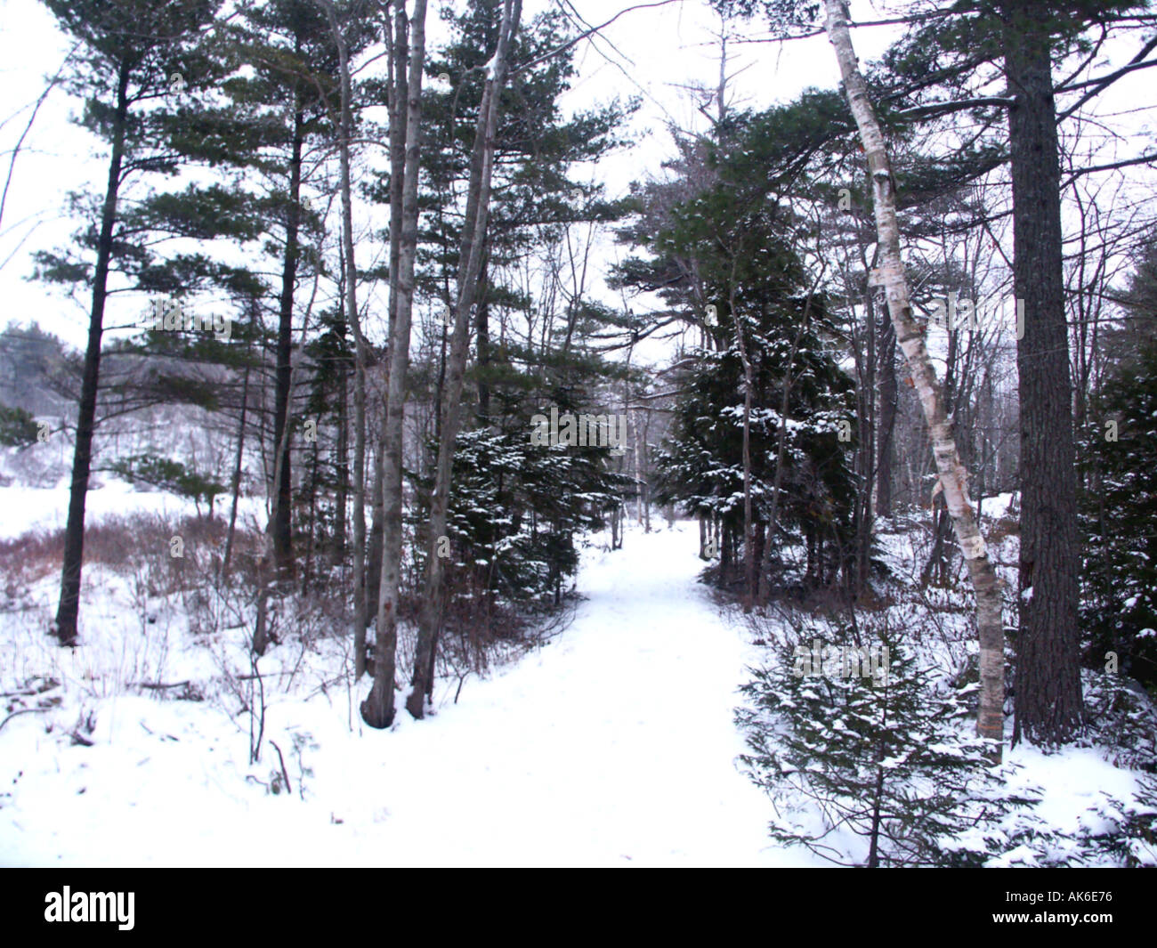 Snow covered Park Trail Stock Photo - Alamy