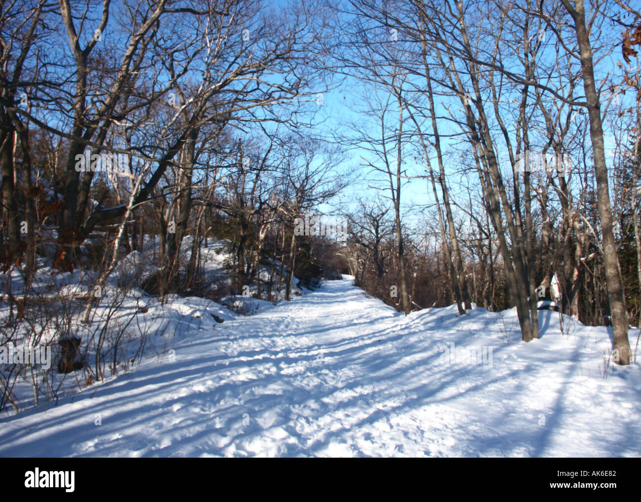 Snow Covered Park Trail Stock Photo - Alamy