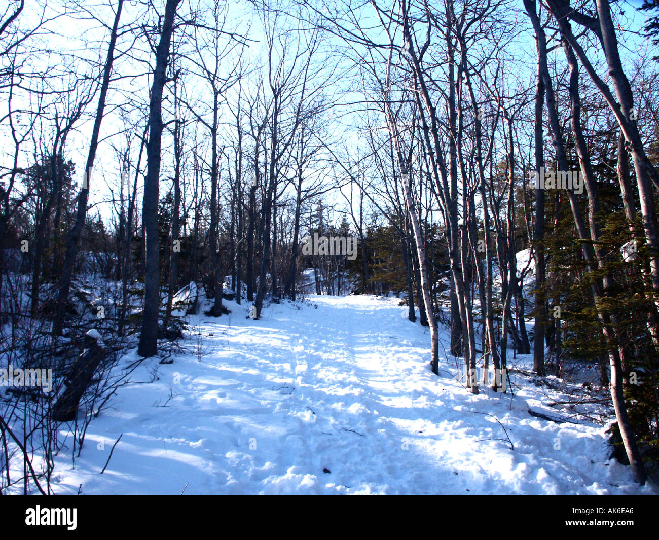 Snow covered Park Trail Stock Photo - Alamy