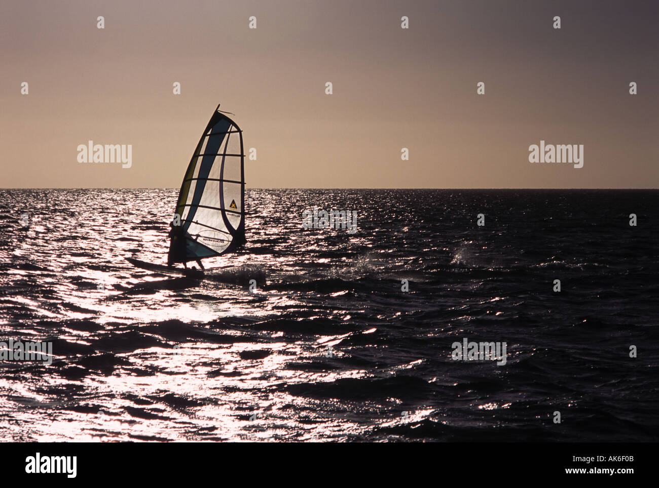 Windsurfing in the evening sun Nanga Station Shark Bay Stock Photo - Alamy