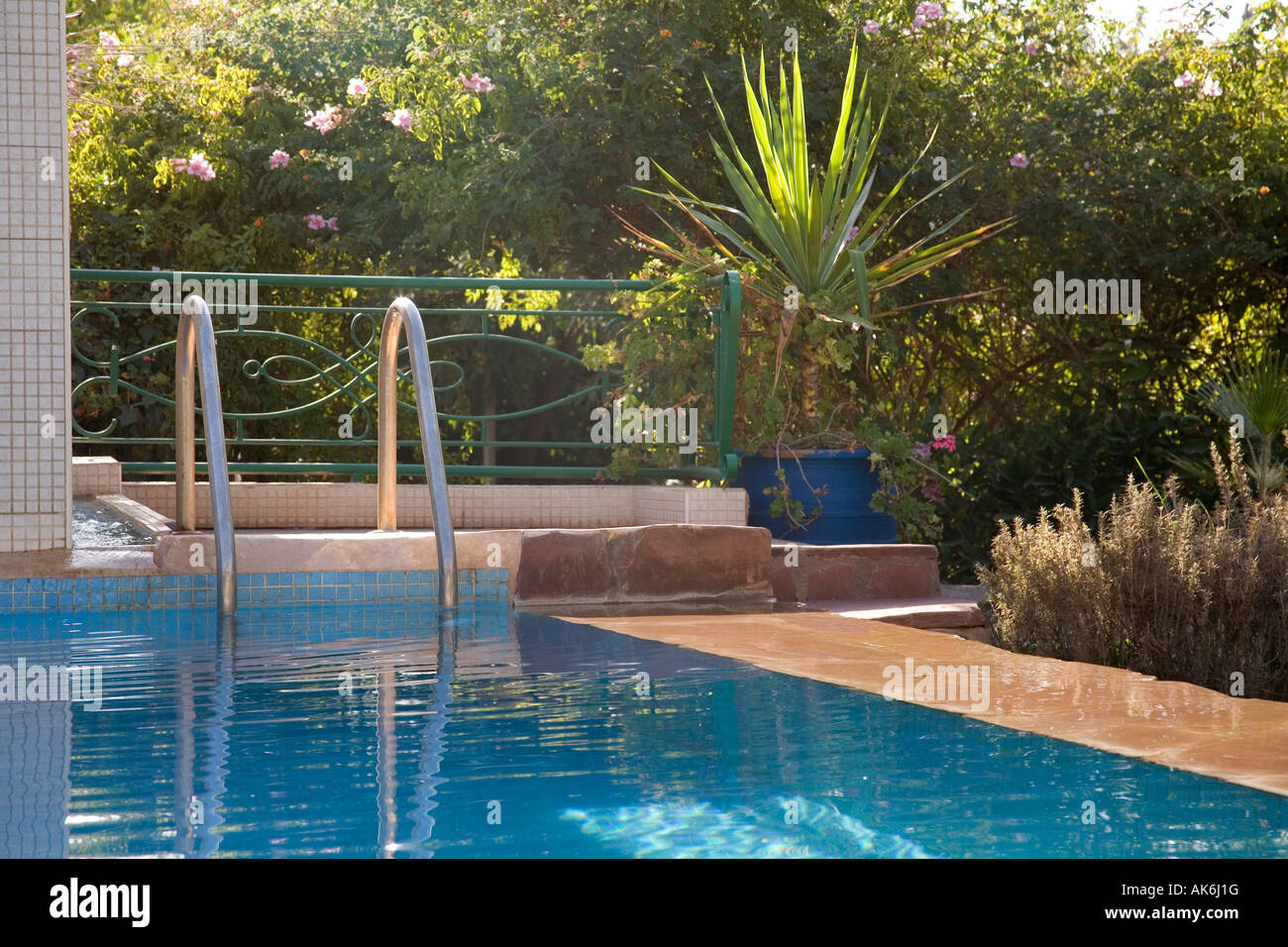 Tropical garden pool, Marrakesh, Morocco, Africa Stock Photo - Alamy