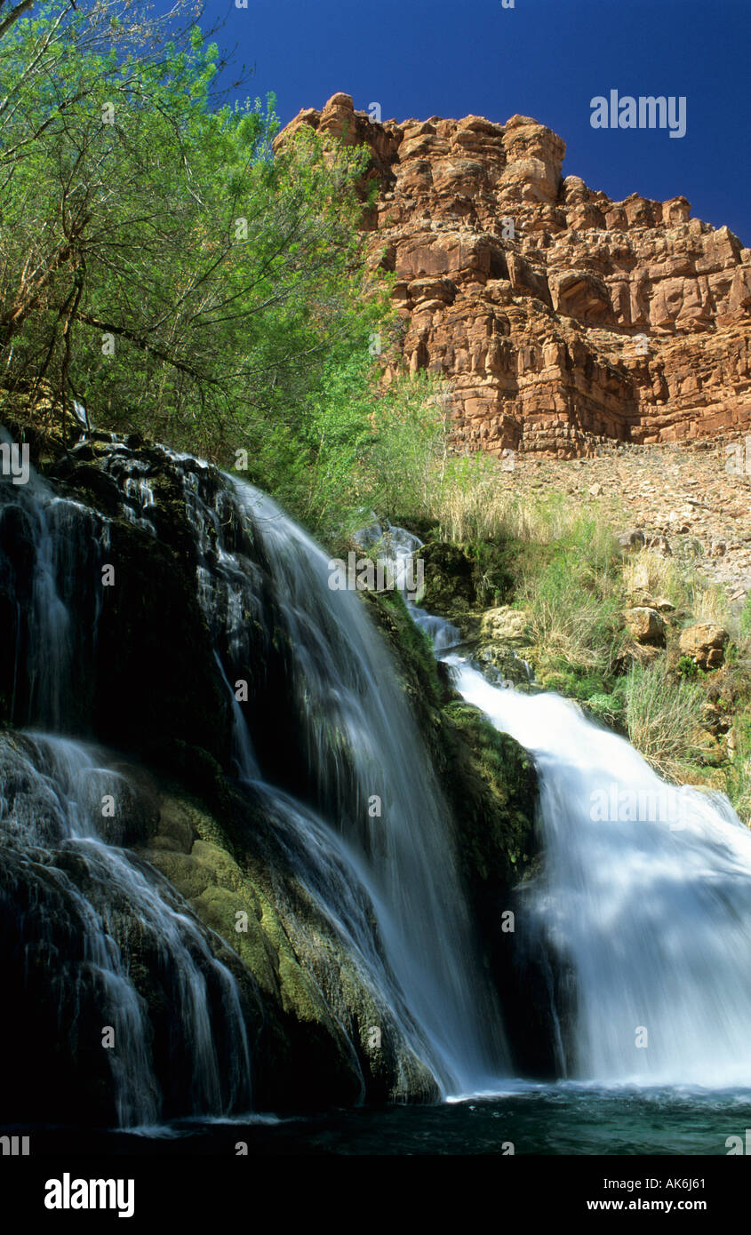 waterfall at Havasu Canyon Havasupai Indian Reservation Stock Photo - Alamy