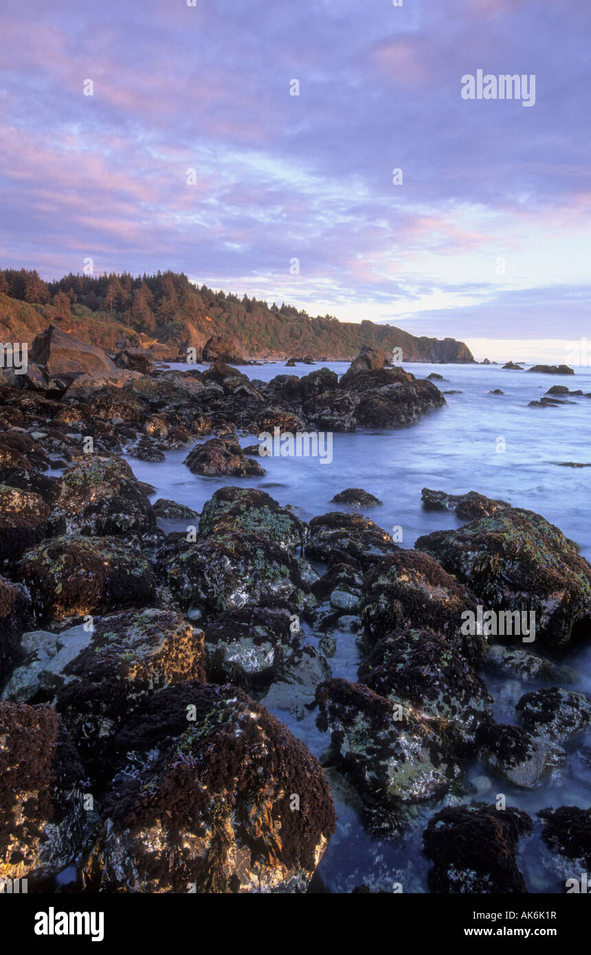 Patrick point state park hi-res stock photography and images - Alamy