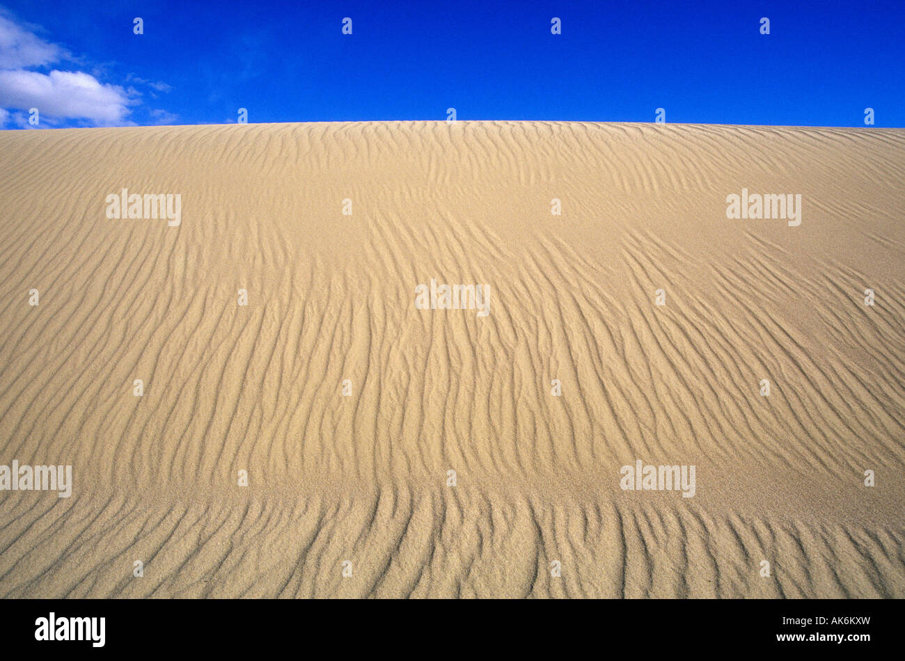 Olancha Sand Dunes on the edge of dry Owens Lake below the Sierra ...