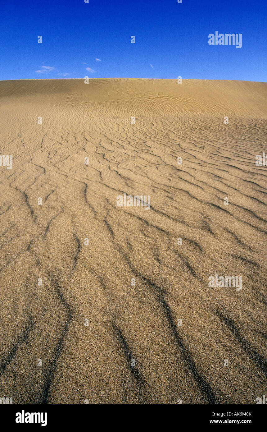 Olancha Sand Dunes on the edge of dry Owens Lake below the Sierra ...