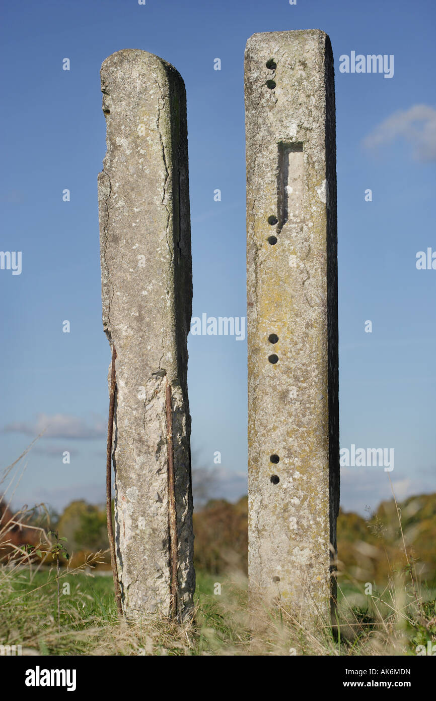 Two reinforced concrete fenceposts in a field Stock Photo - Alamy