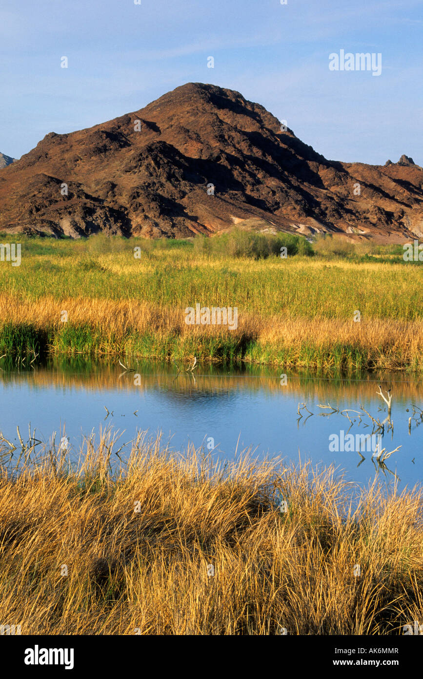 Stewart Lake at Picacho State Recreation Area in the California Desert ...