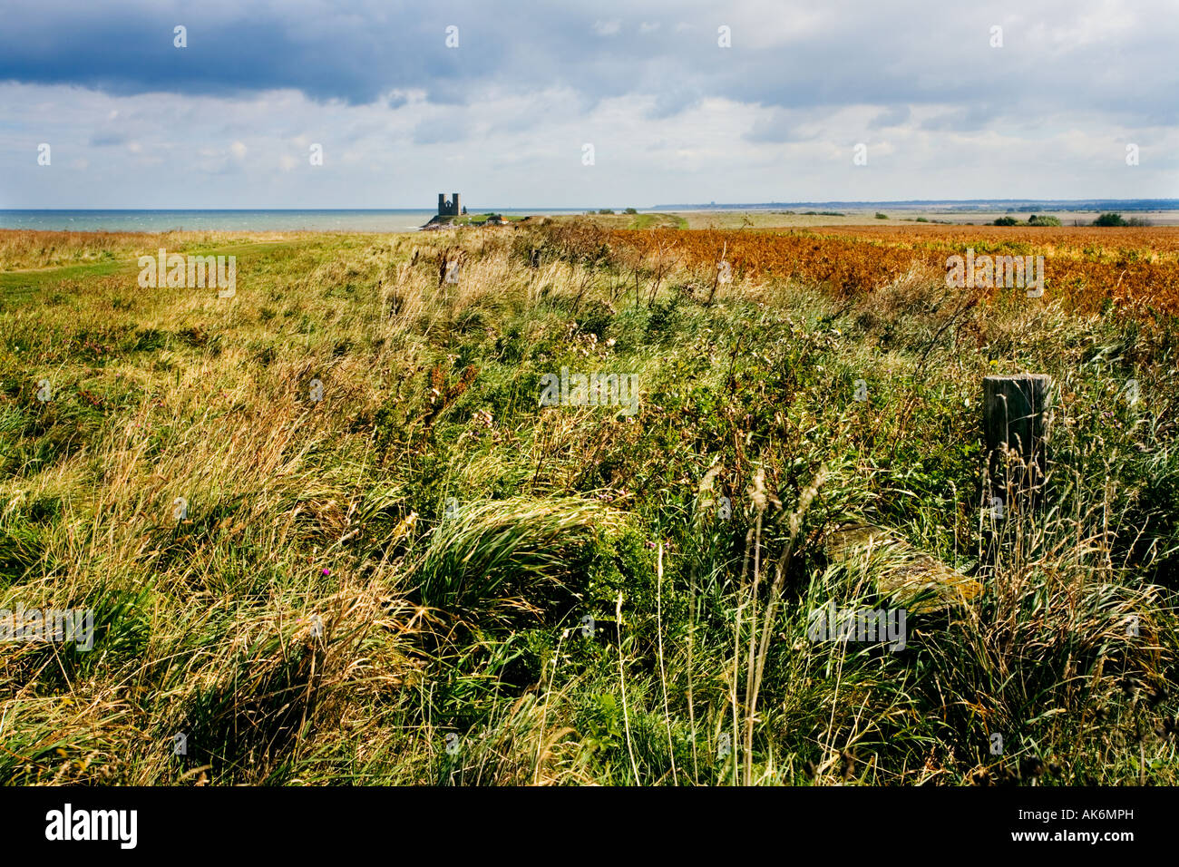 Reculver country park hi-res stock photography and images - Alamy