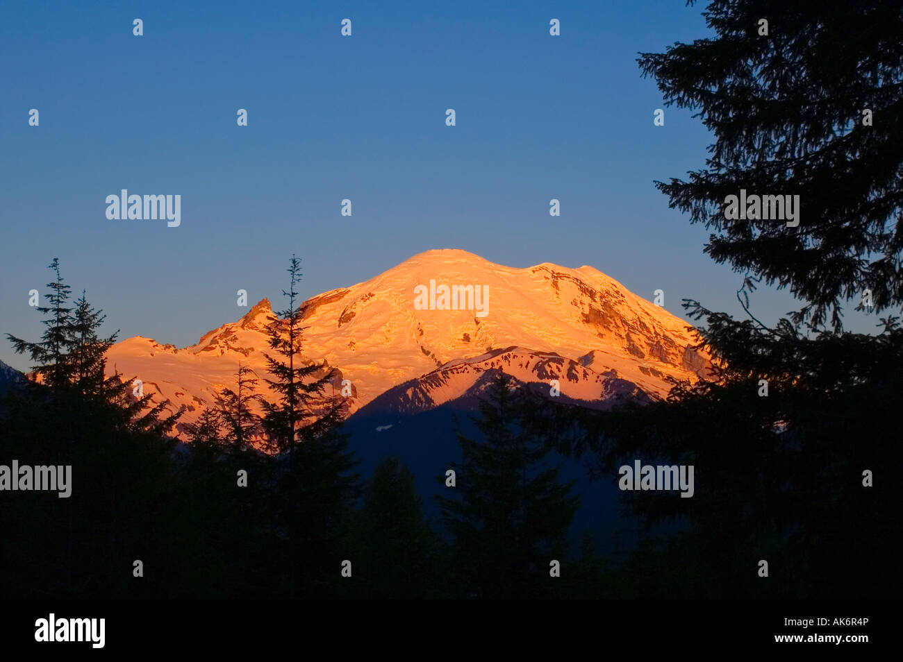 Sunrise on Mount Rainier Stock Photo - Alamy