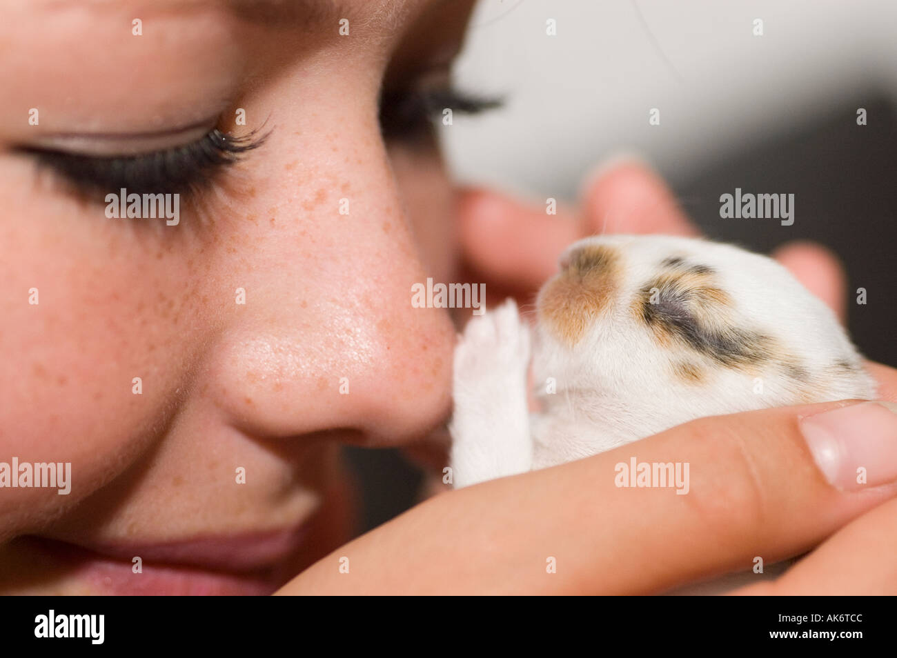 MR girl playing with a dwarf rabbit six days old Stock Photo - Alamy