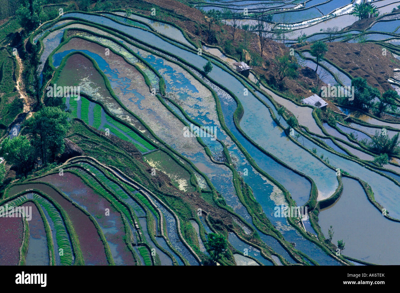 Laohuzui terraces hi-res stock photography and images - Alamy