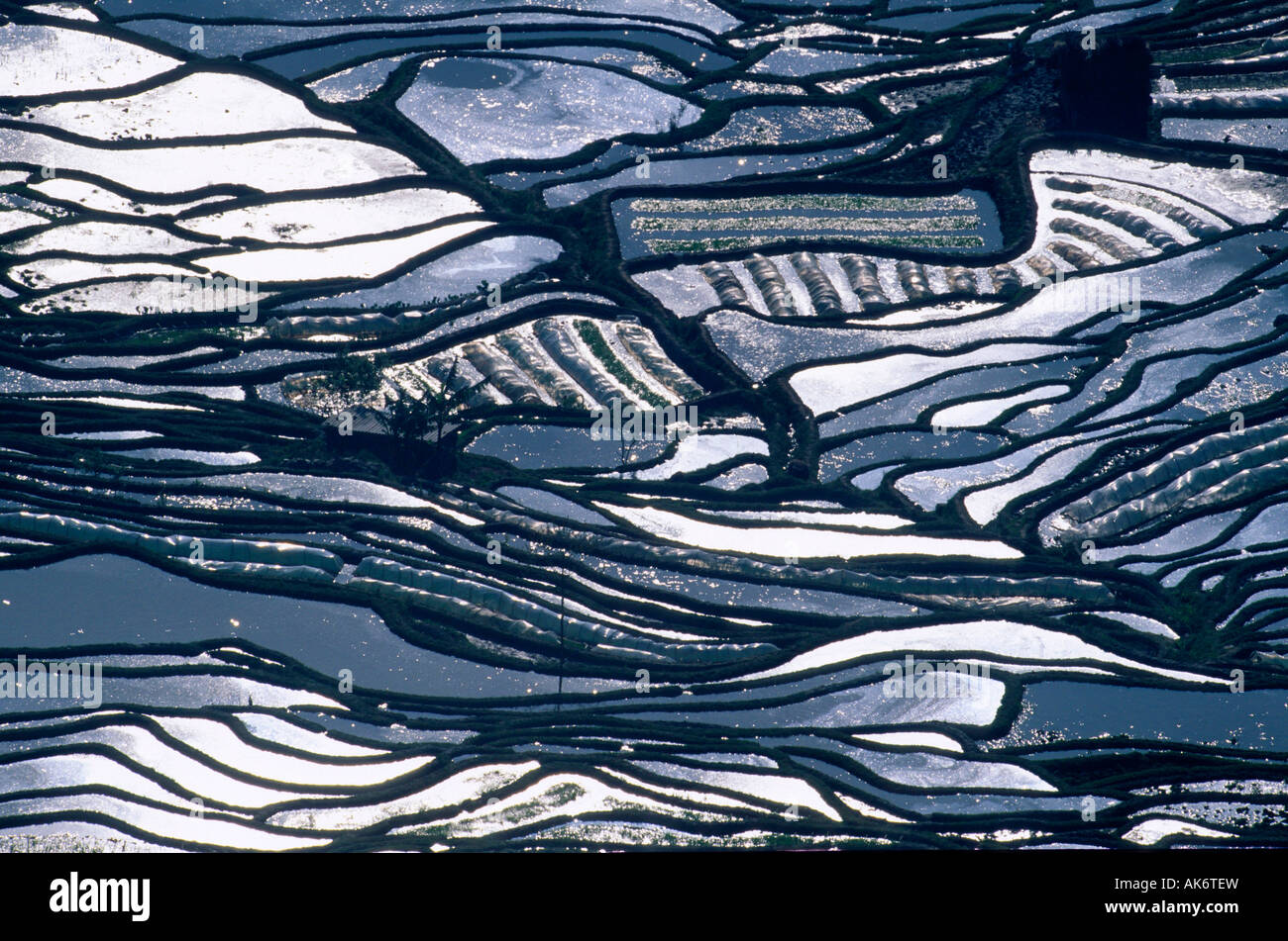 Laohuzui / Rice Terrace Stock Photo - Alamy